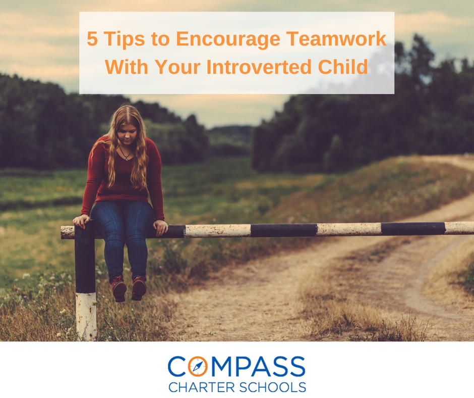 5 Tips to Encourage Teamwork With Your Introverted Child - Compass ...