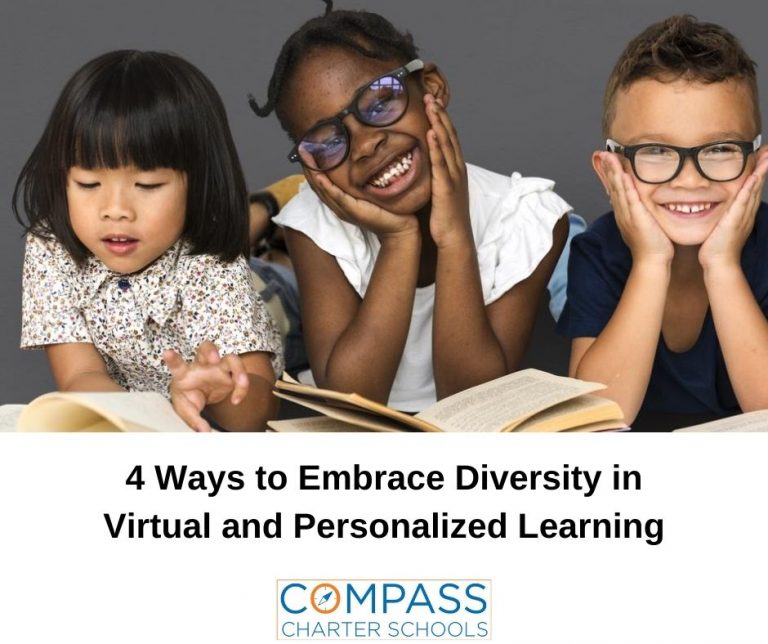 4 Ways to Embrace Diversity in Virtual and Personalized Learning ...